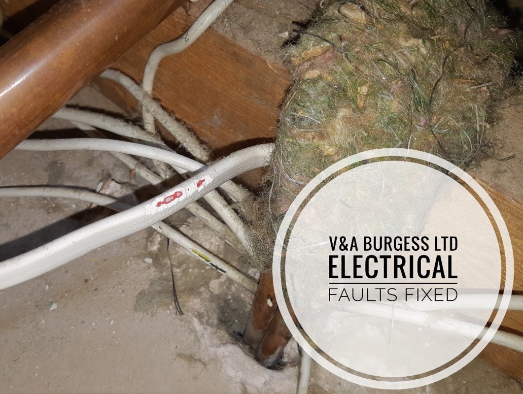 Dangerous Wiring | Electrical Faults Fixed